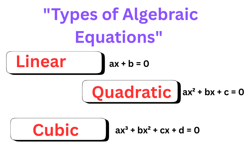 5 Easy Tips to Master Algebraic Equations Like a Pro